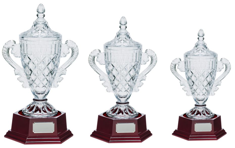 Lindisfarne Champions Crystal Trophy Cup with Lid TR CR Series - Direct ...