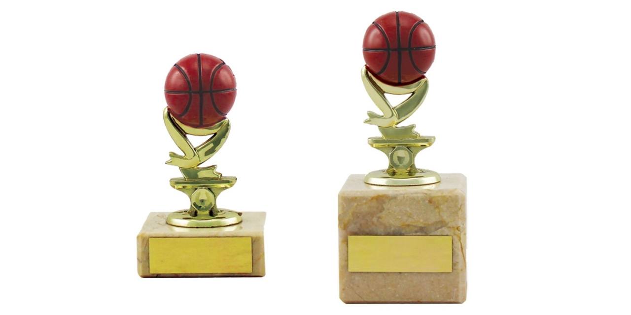 Great Value Basket Ball Trophies 1714 Series-Trophies2Schools