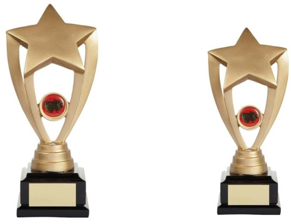 Up to 50% OFF 100's Star Trophies Awards & Medals Engraved - Direct Source