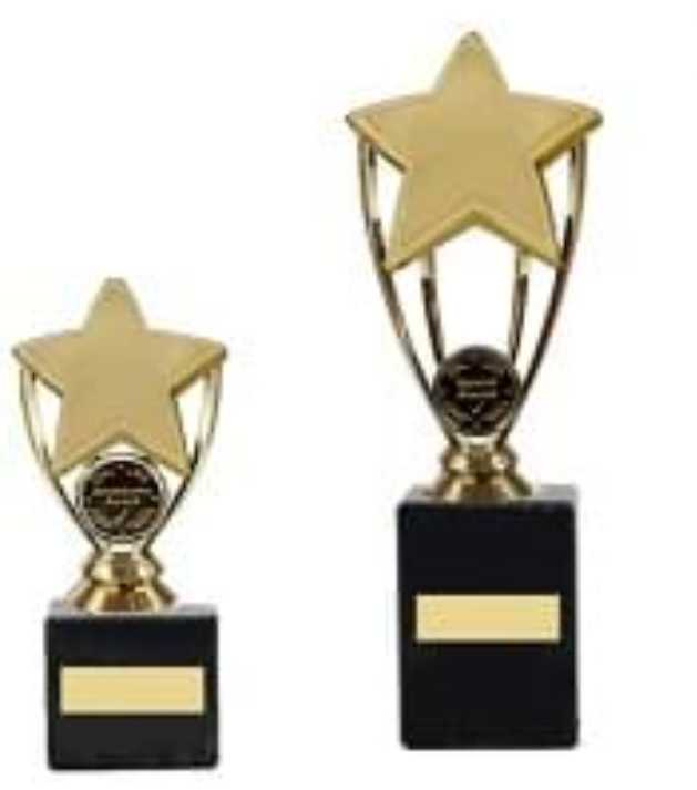 Gold and Silver Prestigious Achievement Star Awards on Quality Marble ...