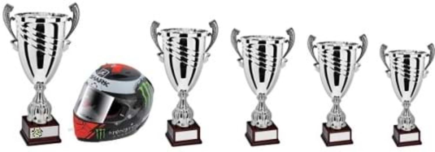 Great Value Large Champions Cups - Direct Source