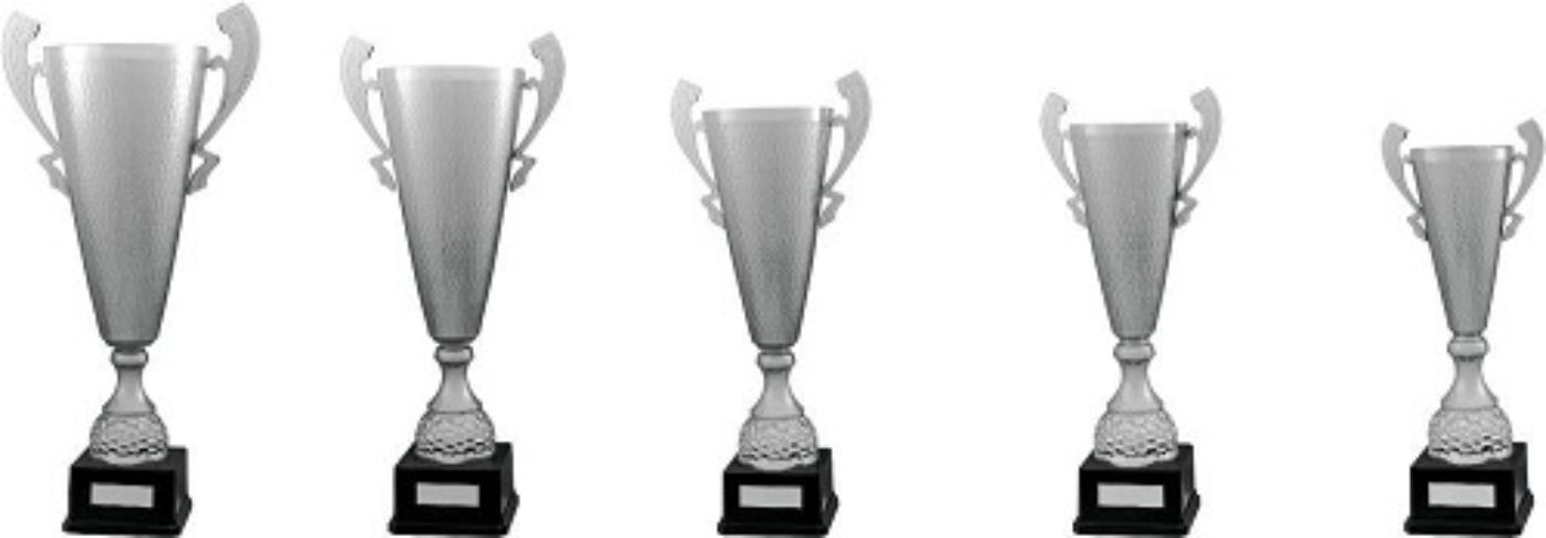 Great Value Tournament Championship Cups 2097 Series - Direct Source