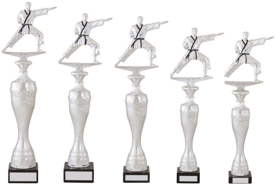 Impressive Tall Karate Trophies 2250 Series-Trophies2Schools